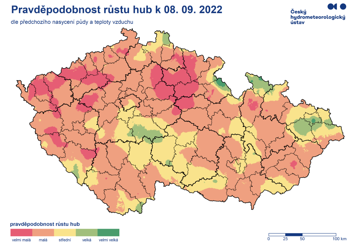 Houbařská sezona pokračuje: Byla zveřejněna mapa ČR, kde se dá najít ...